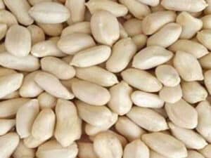 Blenched Whole Peanuts, World's Biggest Peanut Exporter